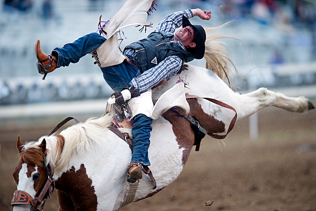 USA – Rodeo – California, Red bluff round-up – Dfly