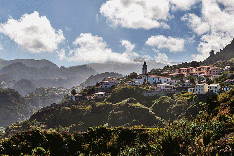 Sju turtips på Madeira – Dfly